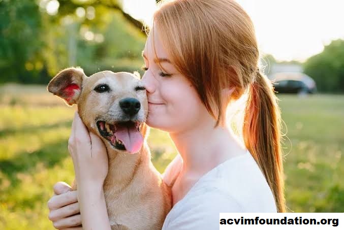 ACVIM Foundation | fondasi kesehatan binatang peliharaan