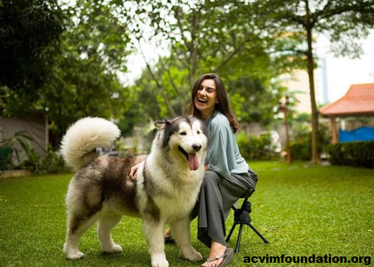 ACVIM Foundation | fondasi kesehatan binatang peliharaan